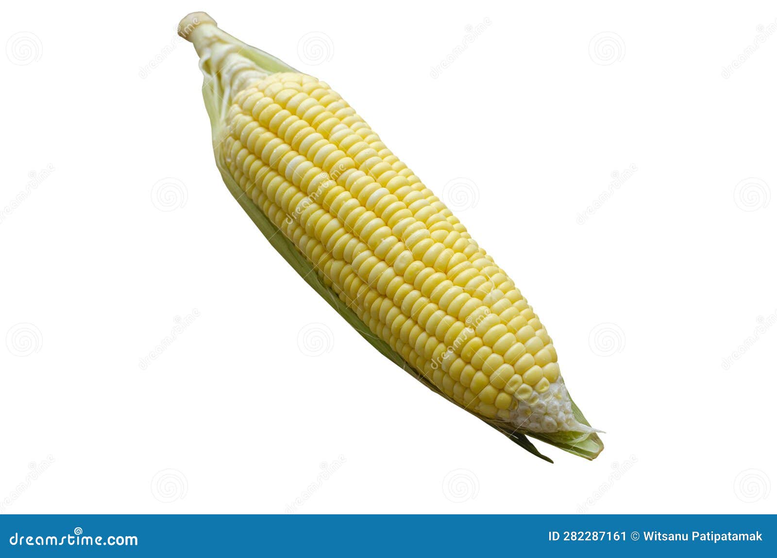 One Corn on Brown Cloth Bag Isolated on White Background with Clipping ...