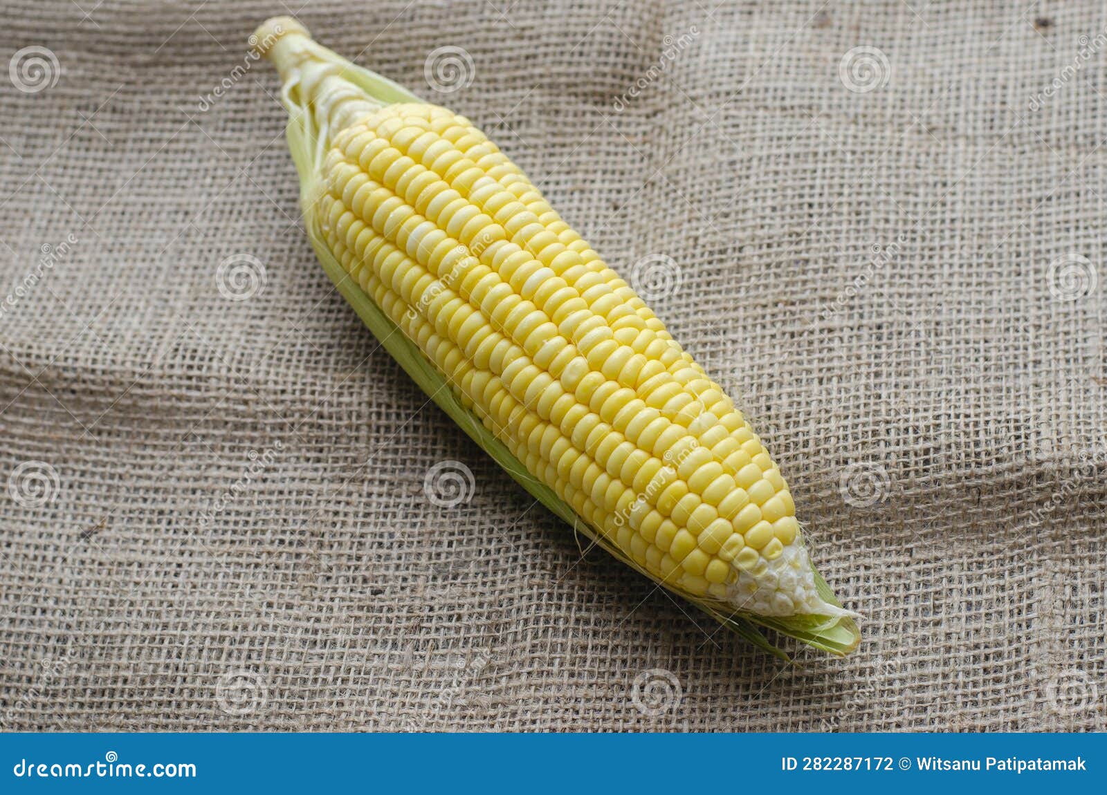 One Corn on Brown Cloth Bag, Side View and Closeup Stock Photo - Image ...
