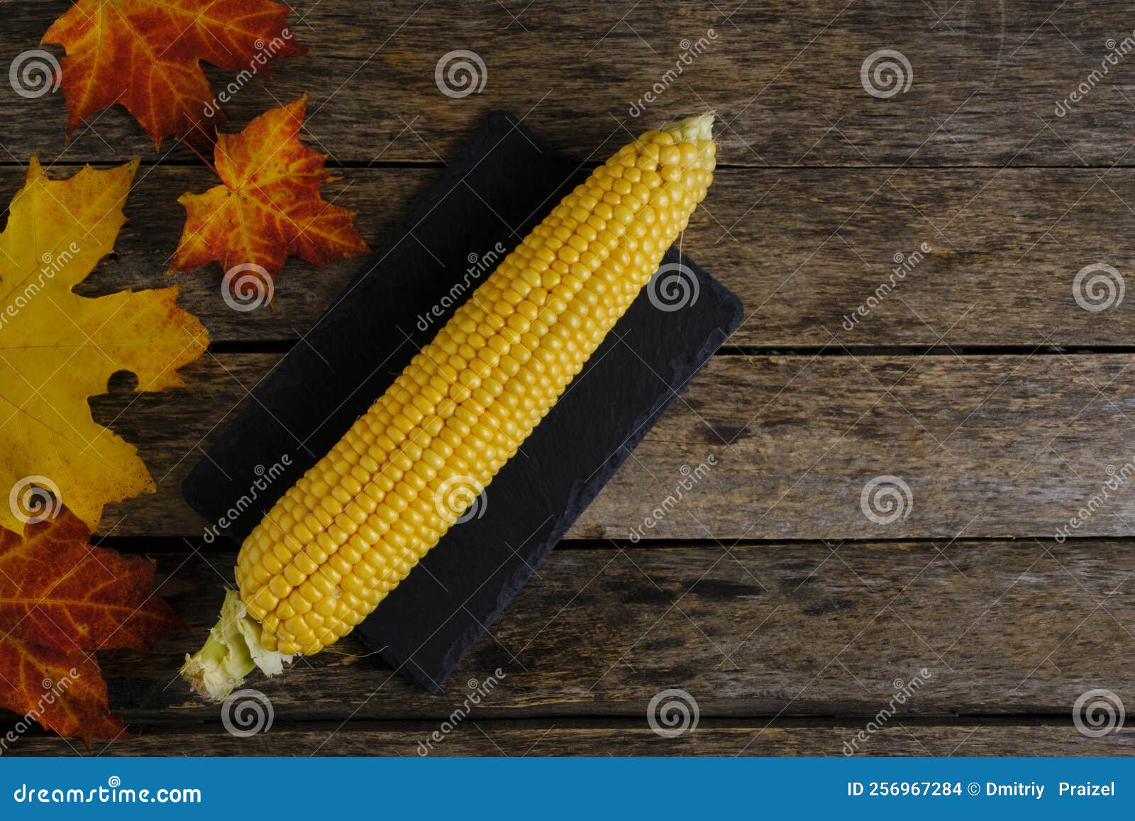One Corn on Wooden Chopping Board and Autumn Maple Leaves Falling on ...