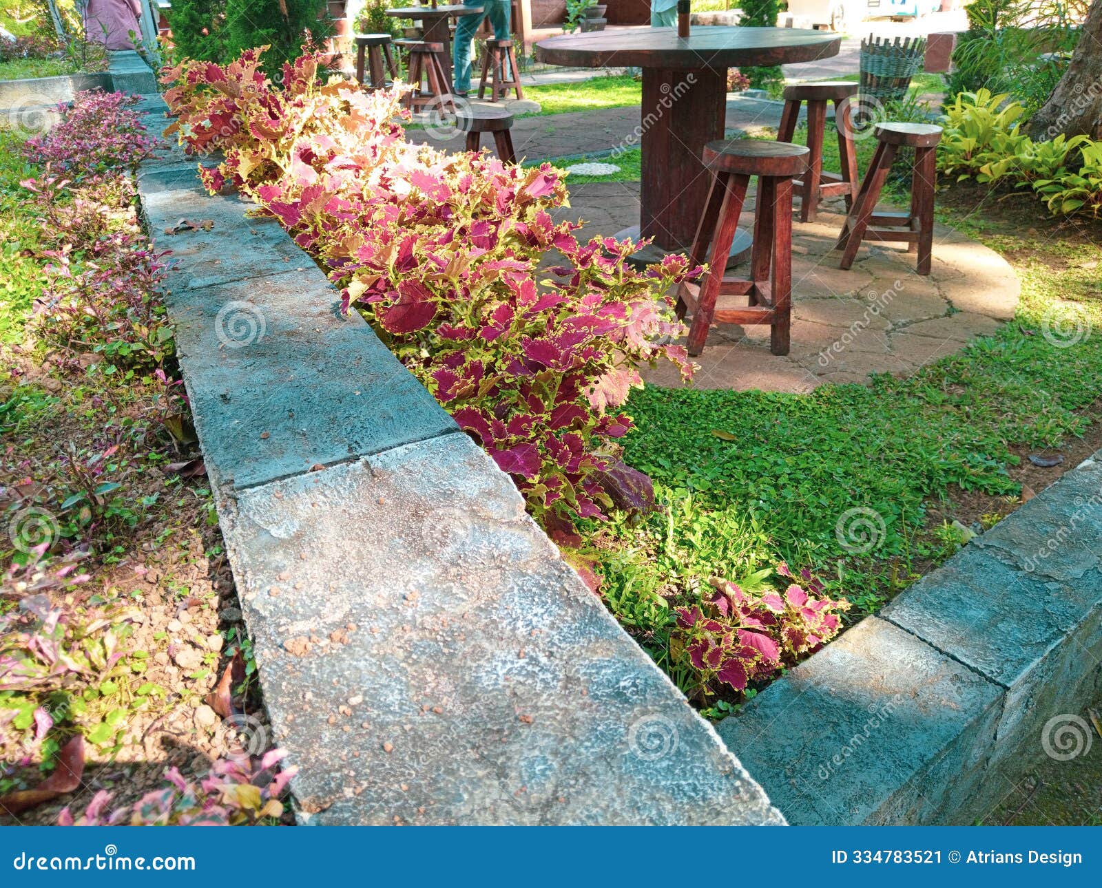 One Corner with Plants that are Well Cared for by the Manager Stock ...