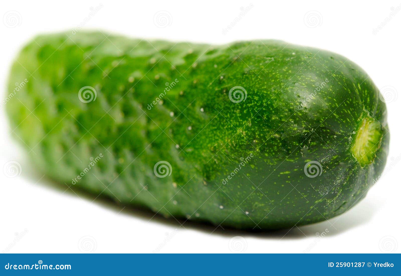 One cucumber stock image. Image of eating, healthy, nature - 25901287