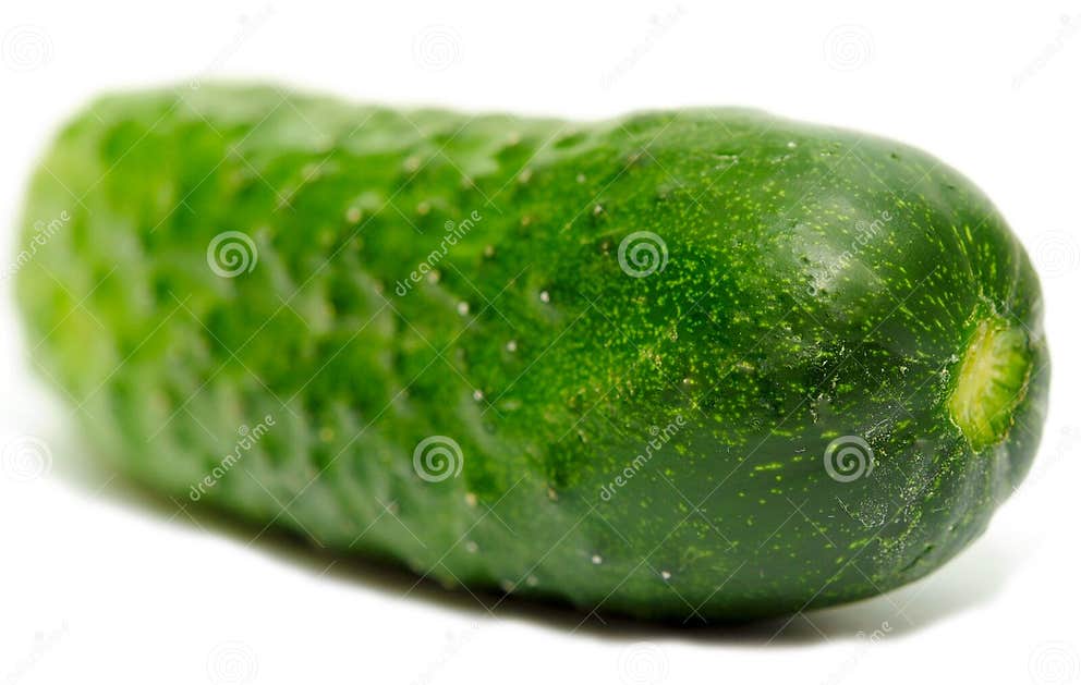 One cucumber stock image. Image of eating, healthy, nature - 25901287
