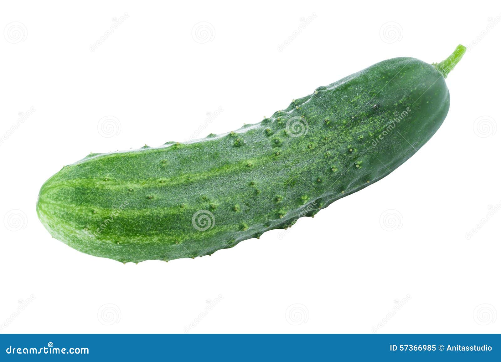 One Cucumber Isolated on White Stock Image - Image of single, close ...