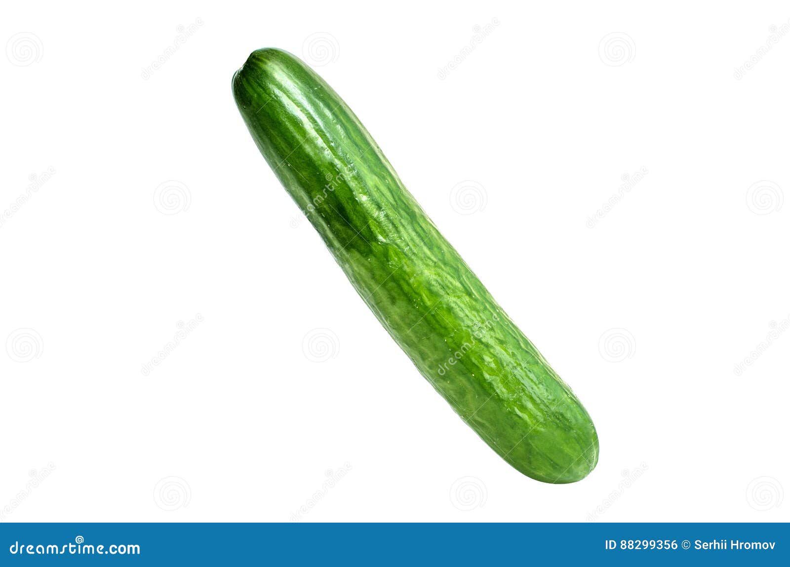 One Cucumber Isolated on White Background Stock Photo - Image of ...