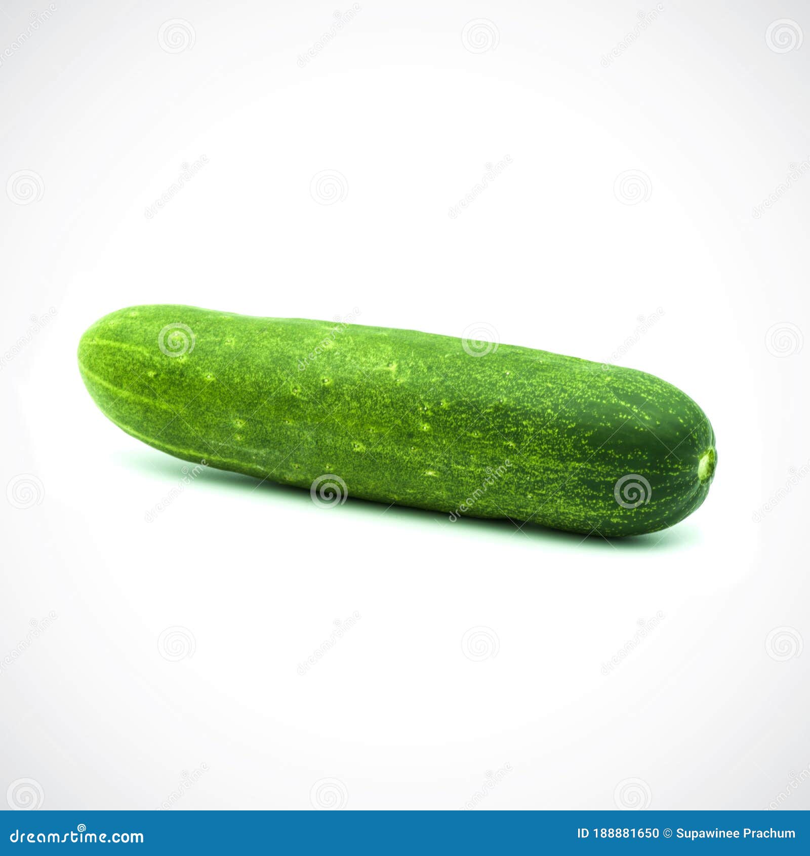 One Cucumber on a White Background Stock Photo - Image of plant ...