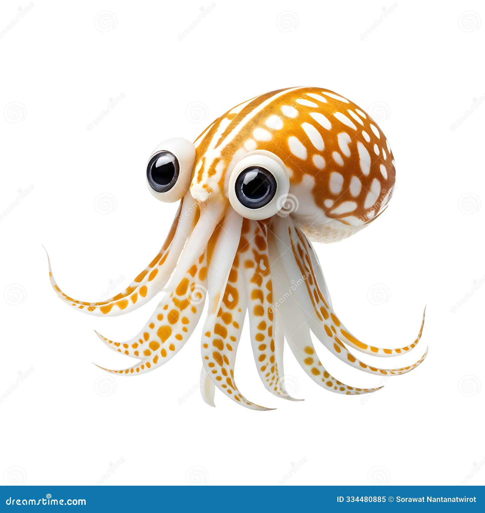 Cute Cuttlefish, Octopus, Squid, T-shirt Print, Kids Poster, On White ...