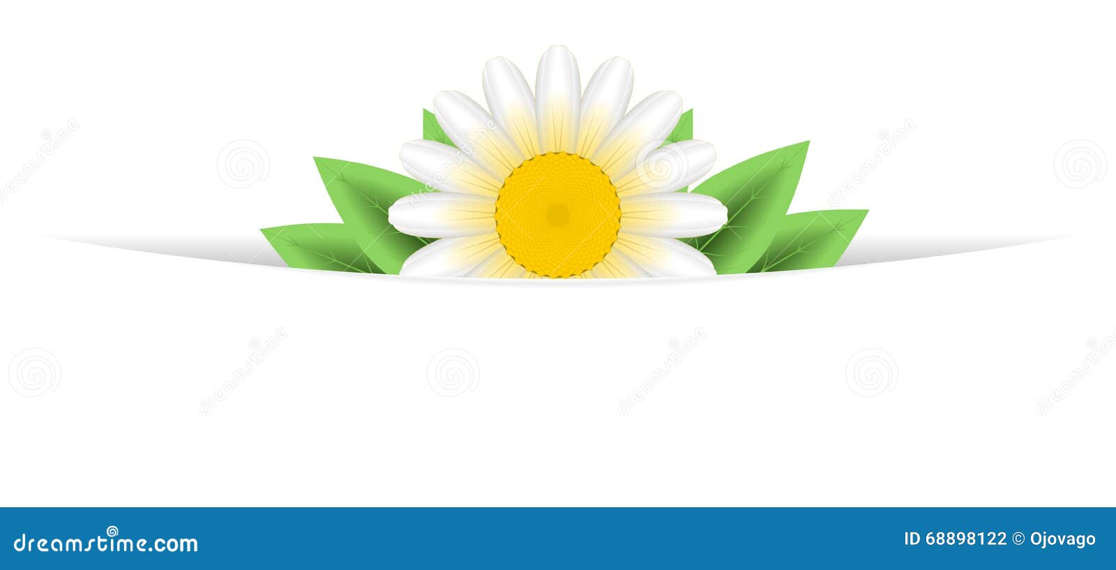 Daisy Banner Royalty-Free Stock Photography | CartoonDealer.com #2694119