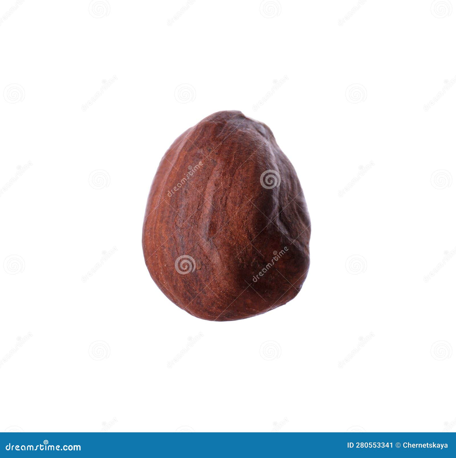 One Delicious Hazel Nut Isolated on White Stock Image - Image of edible ...