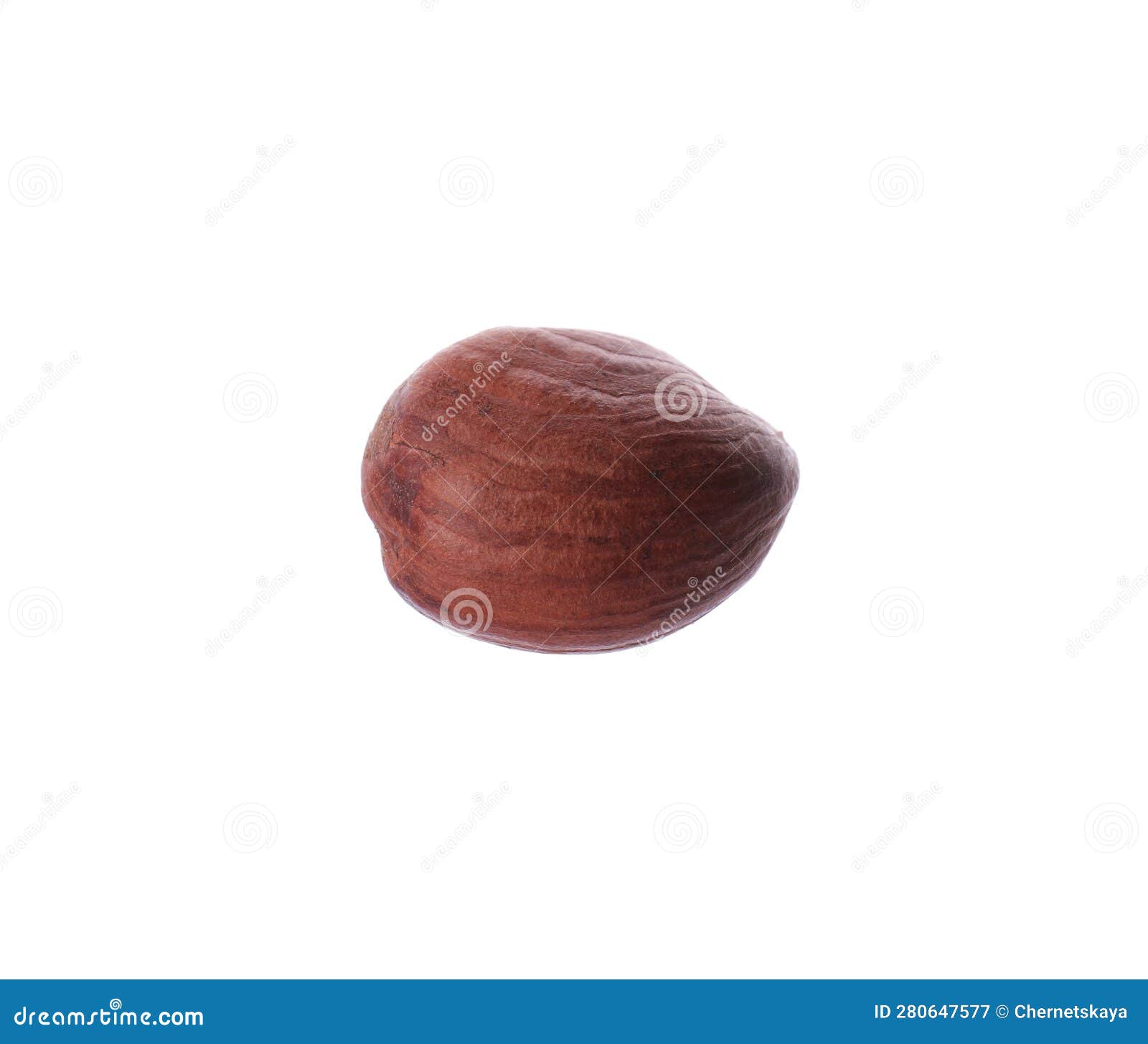 One Delicious Hazel Nut Isolated on White Stock Image - Image of food ...