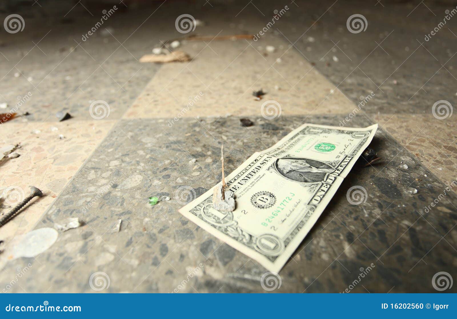 One dollar stock photo. Image of group, dump, floor, object - 16202560