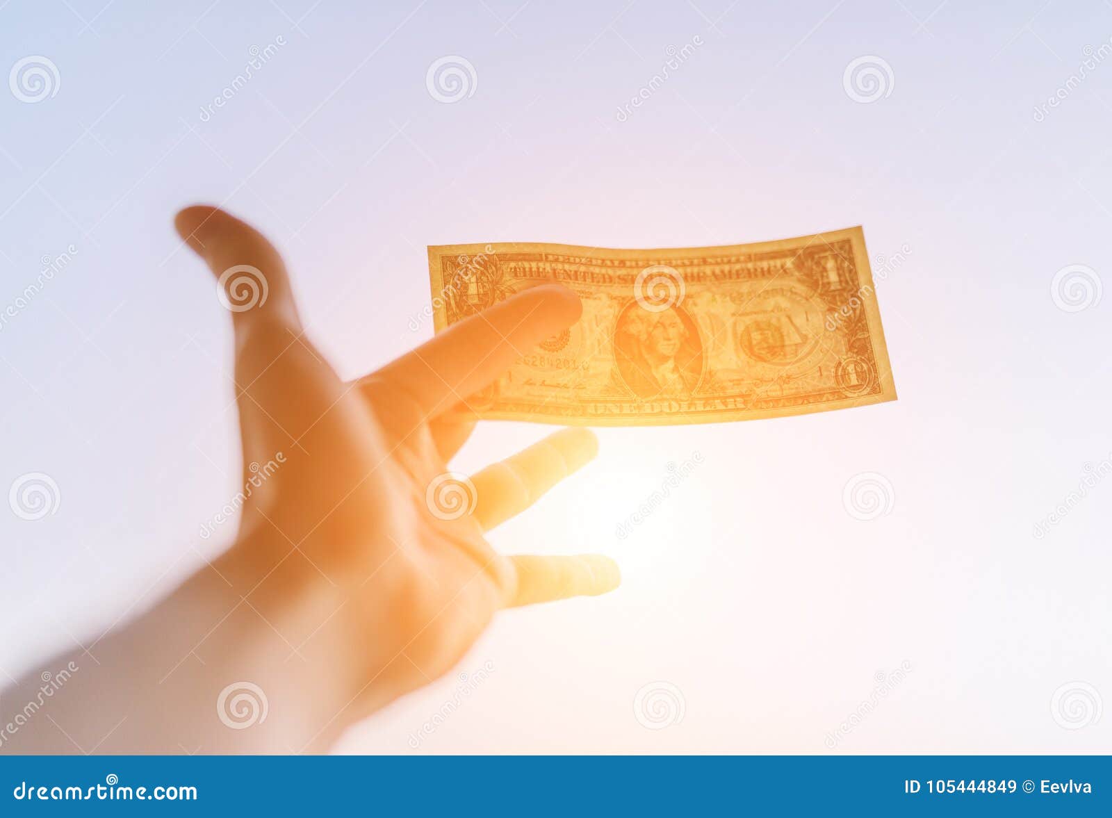 One dollar in hand. stock image. Image of bill, currency - 105444849