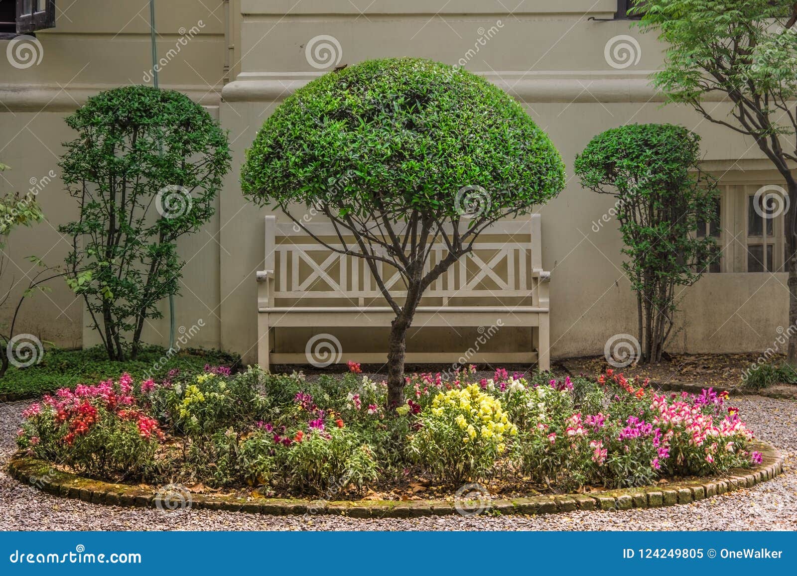 One Dome Shaped Green Tree in the Garden. Stock Image - Image of nature ...