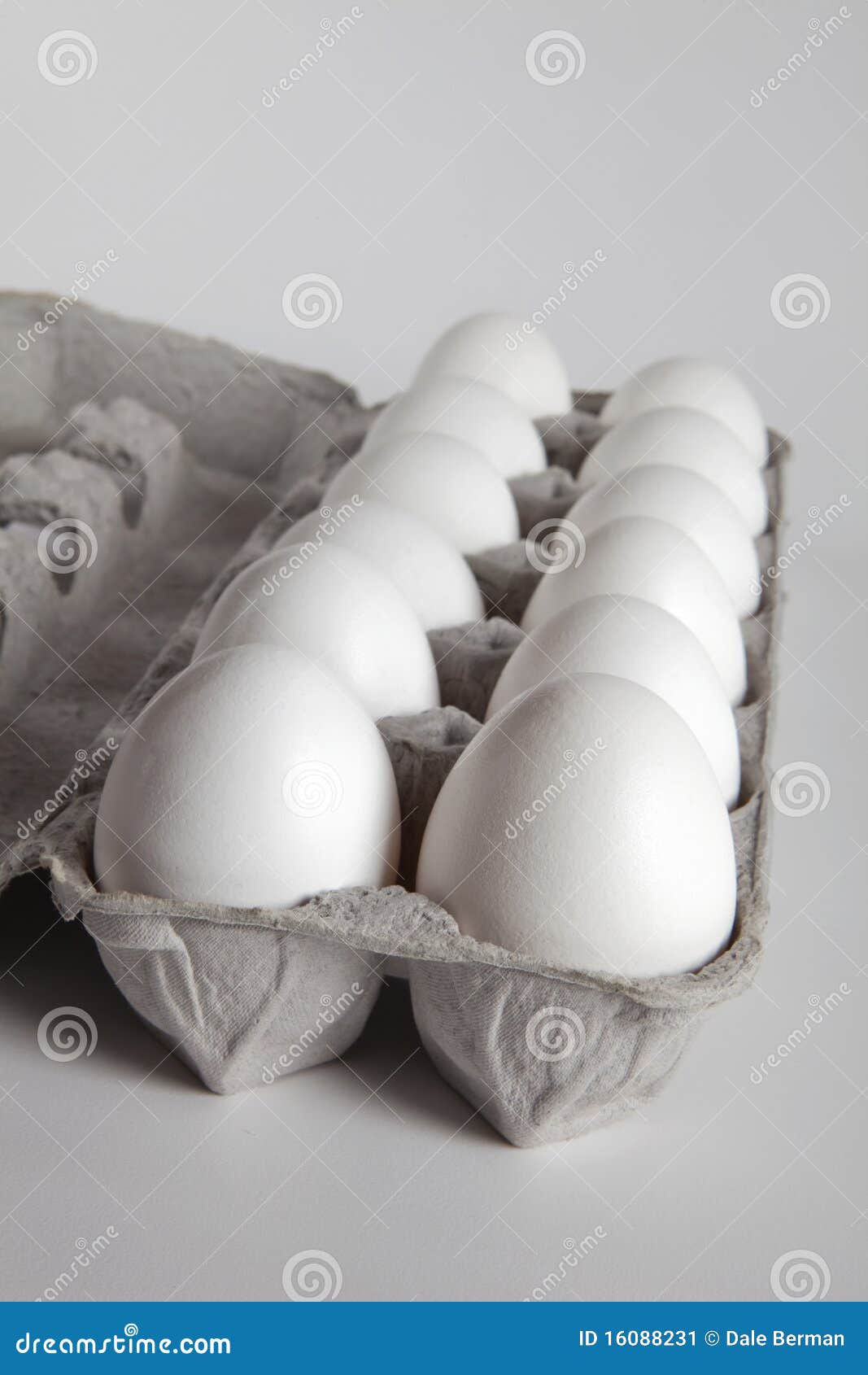 One Dozen White Eggs Inside Egg Carton Stock Photos - Free & Royalty ...