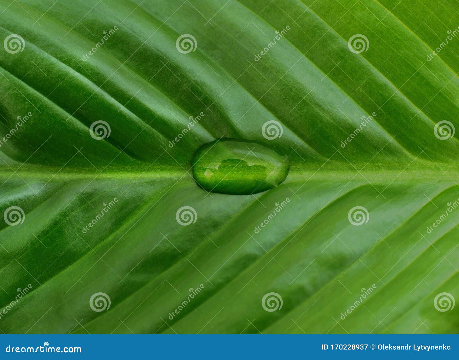 One drop of water stock image. Image of freshness, reflection - 170228937