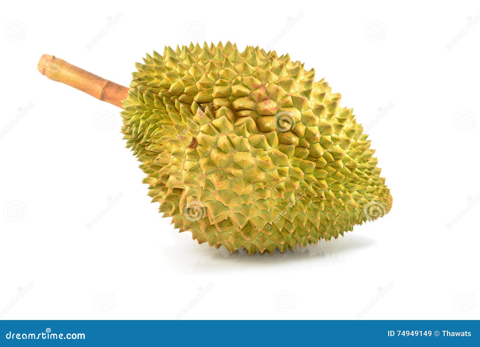 One durian isolated stock image. Image of portion, shadow - 74949149