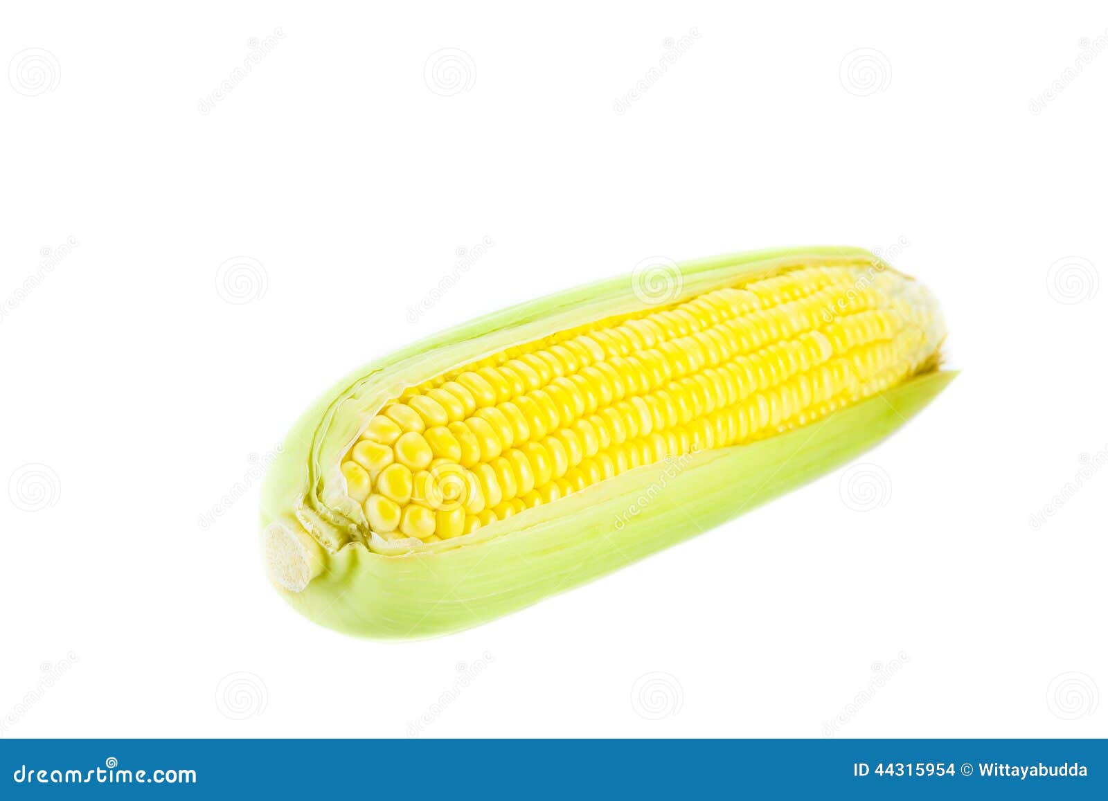 One on ear of corn stock photo. Image of husk, food, healthy - 44315954