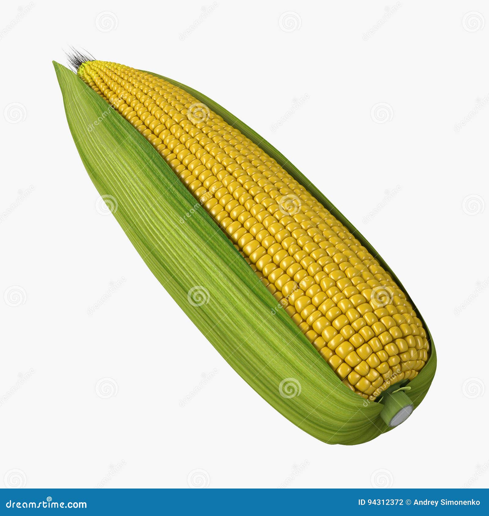 One on Ear of Corn Isolated on a White. 3D Illustration Stock ...