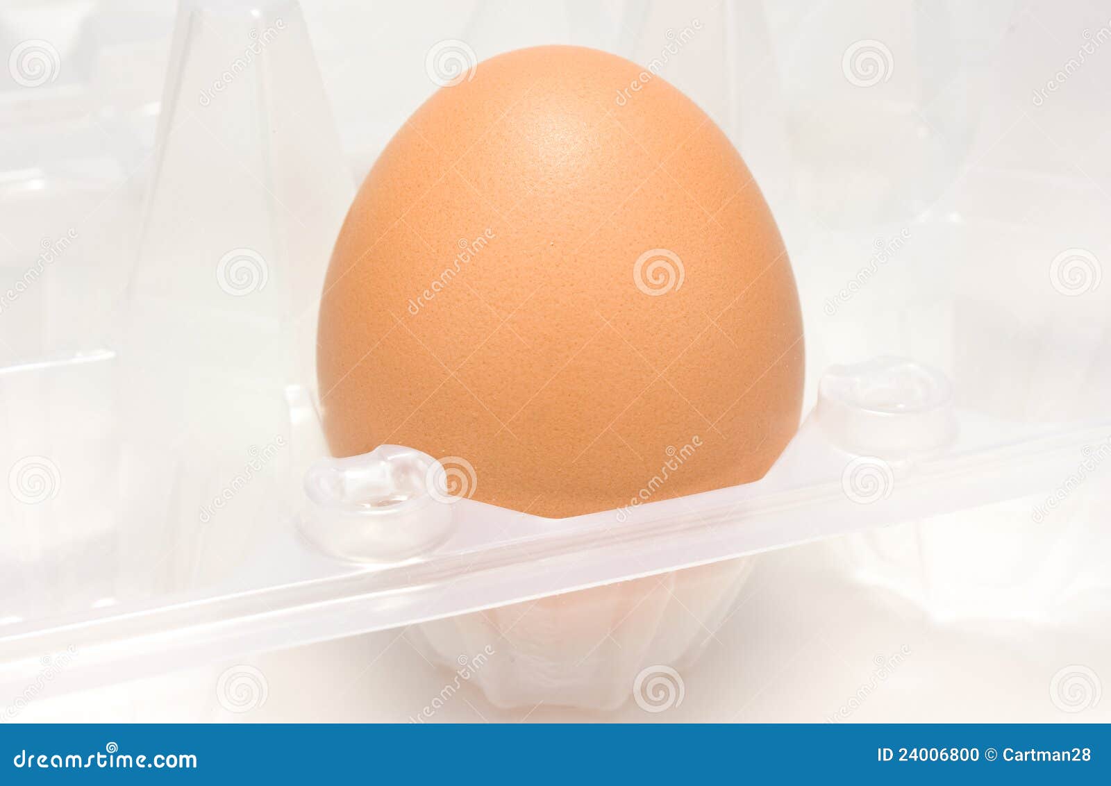 One egg stock photo. Image of healthy, chicken, eggbox - 24006800