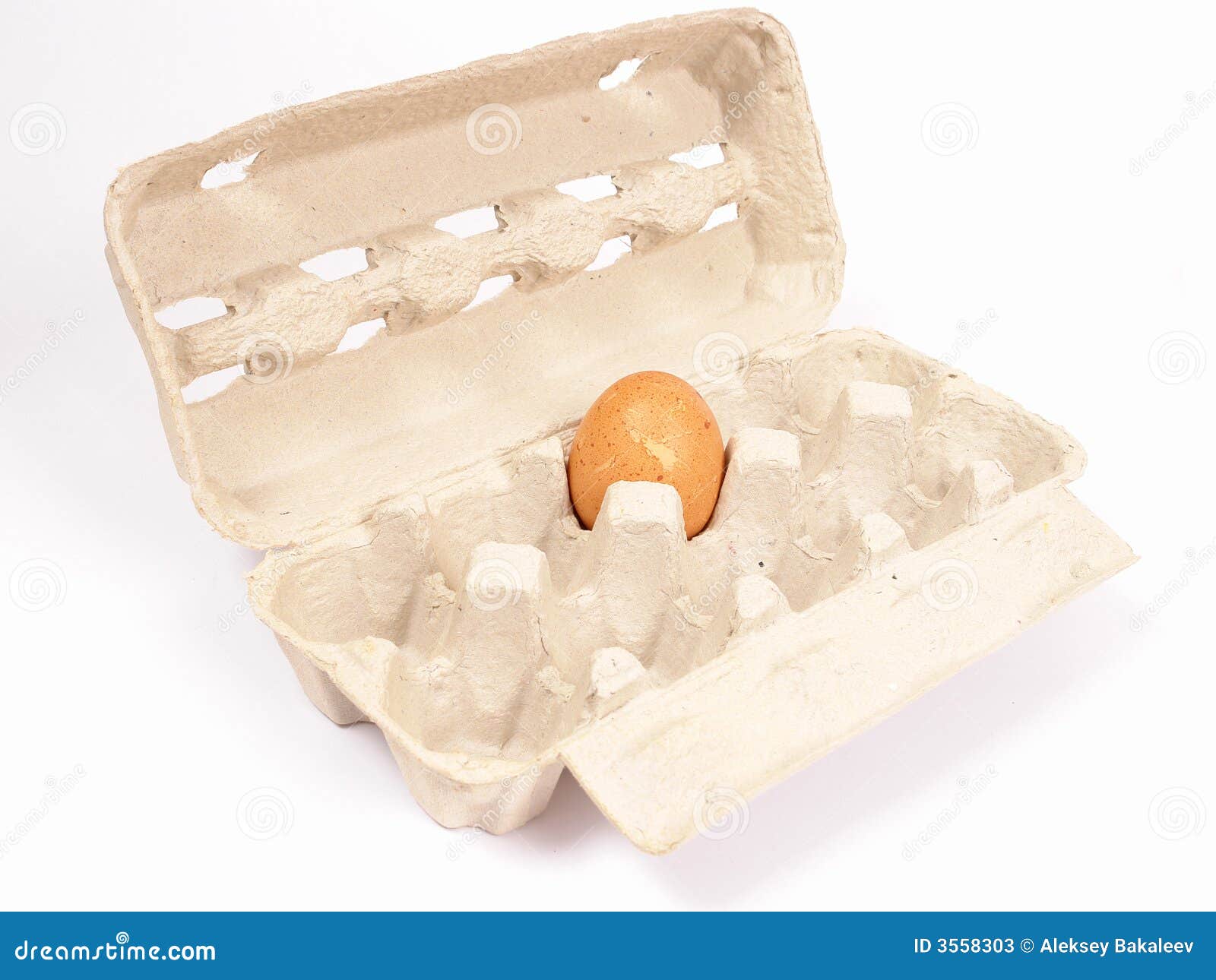 One egg stock image. Image of container, breakfast, chicken - 3558303
