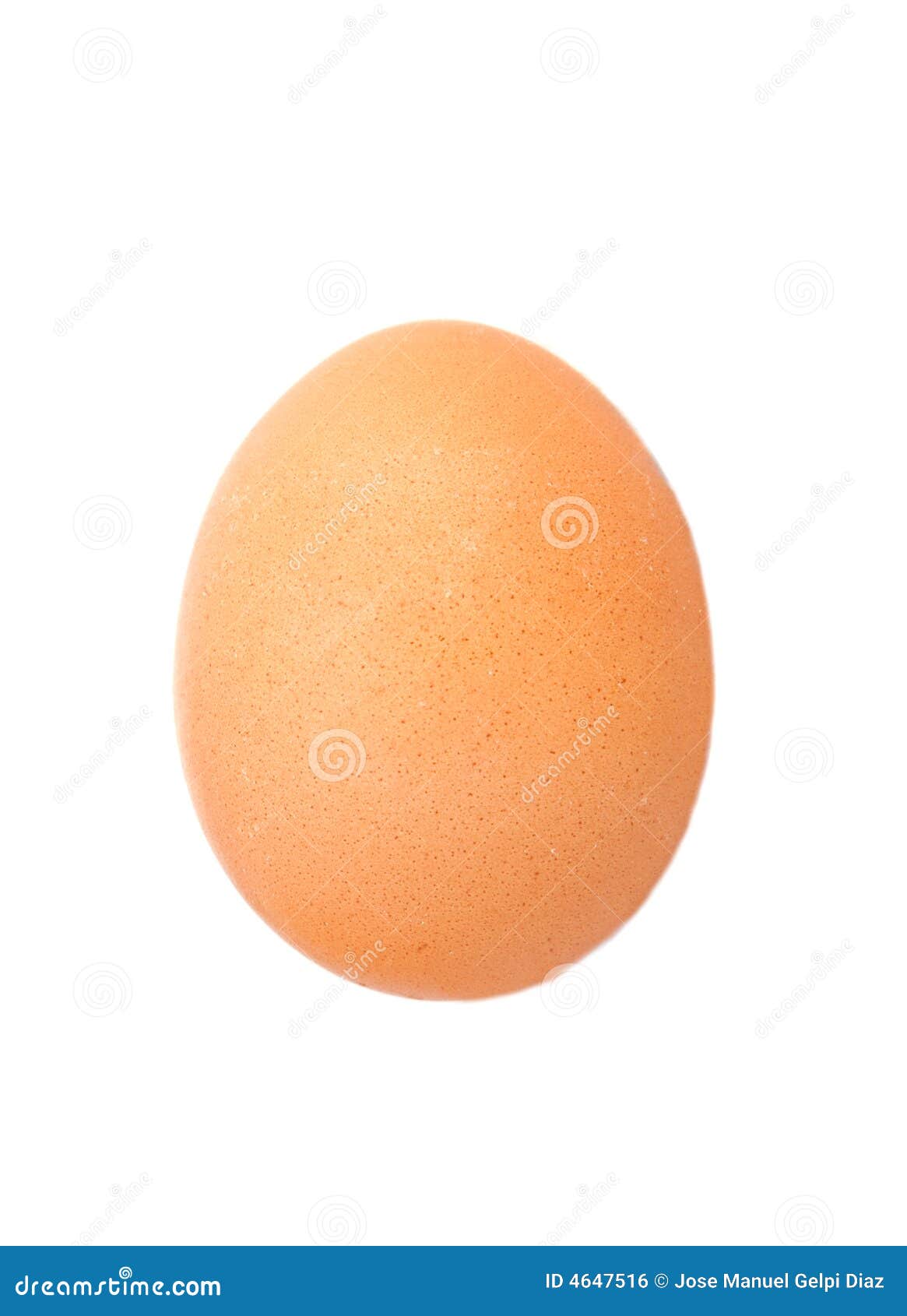 One egg stock photo. Image of blank, healthy, isolated - 4647516