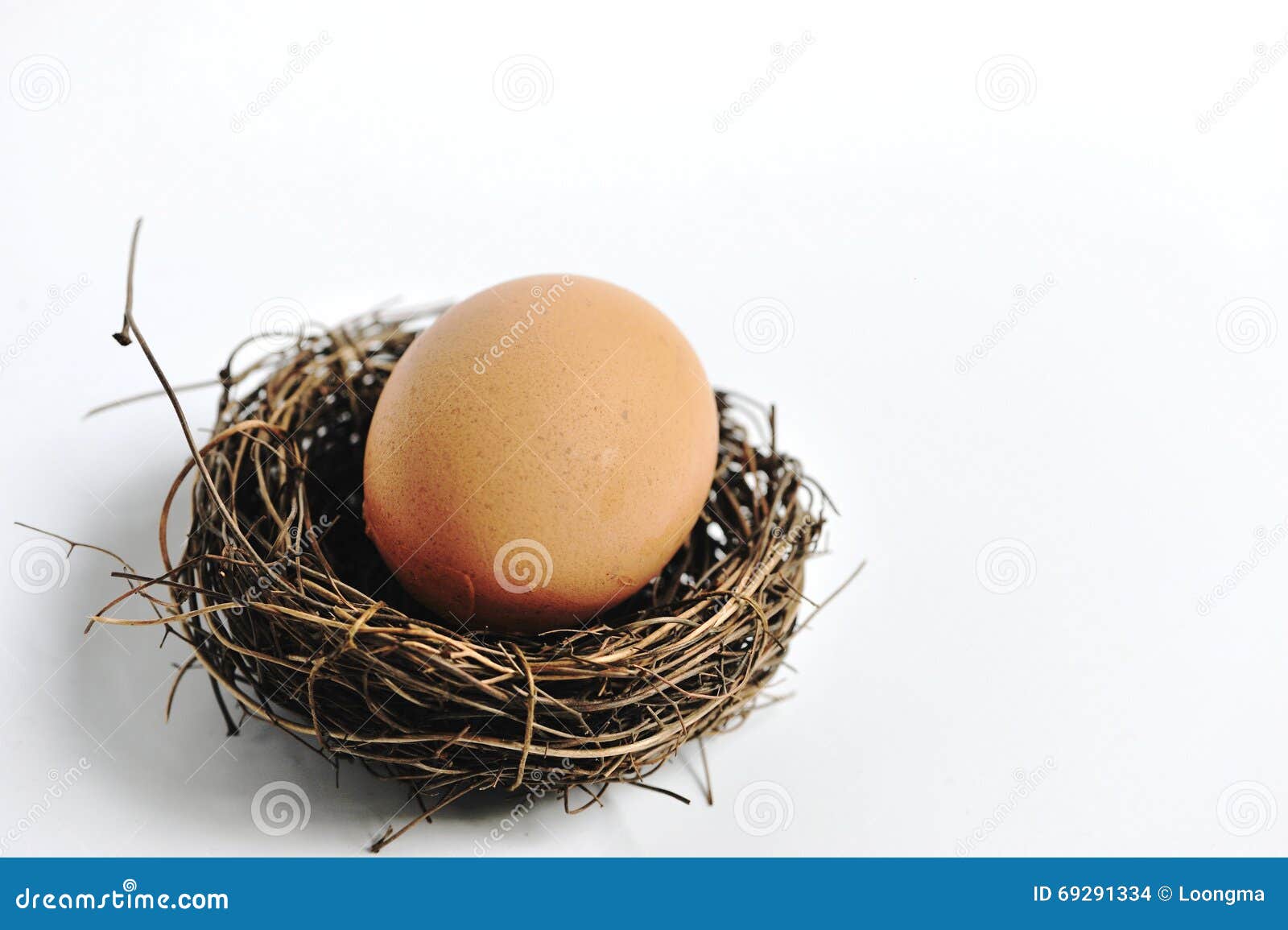 One egg stock photo. Image of close, cracked, chick, healthy - 69291334