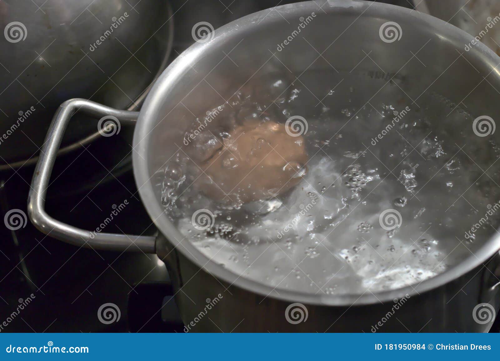 One egg boiling in a pot stock photo. Image of steel - 181950984