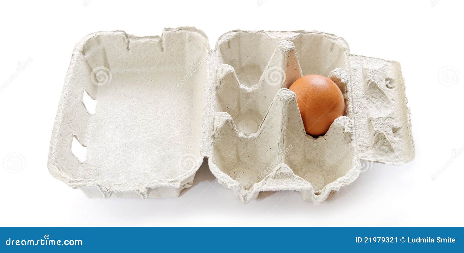 One egg in box. stock image. Image of group, shadow, open - 21979321