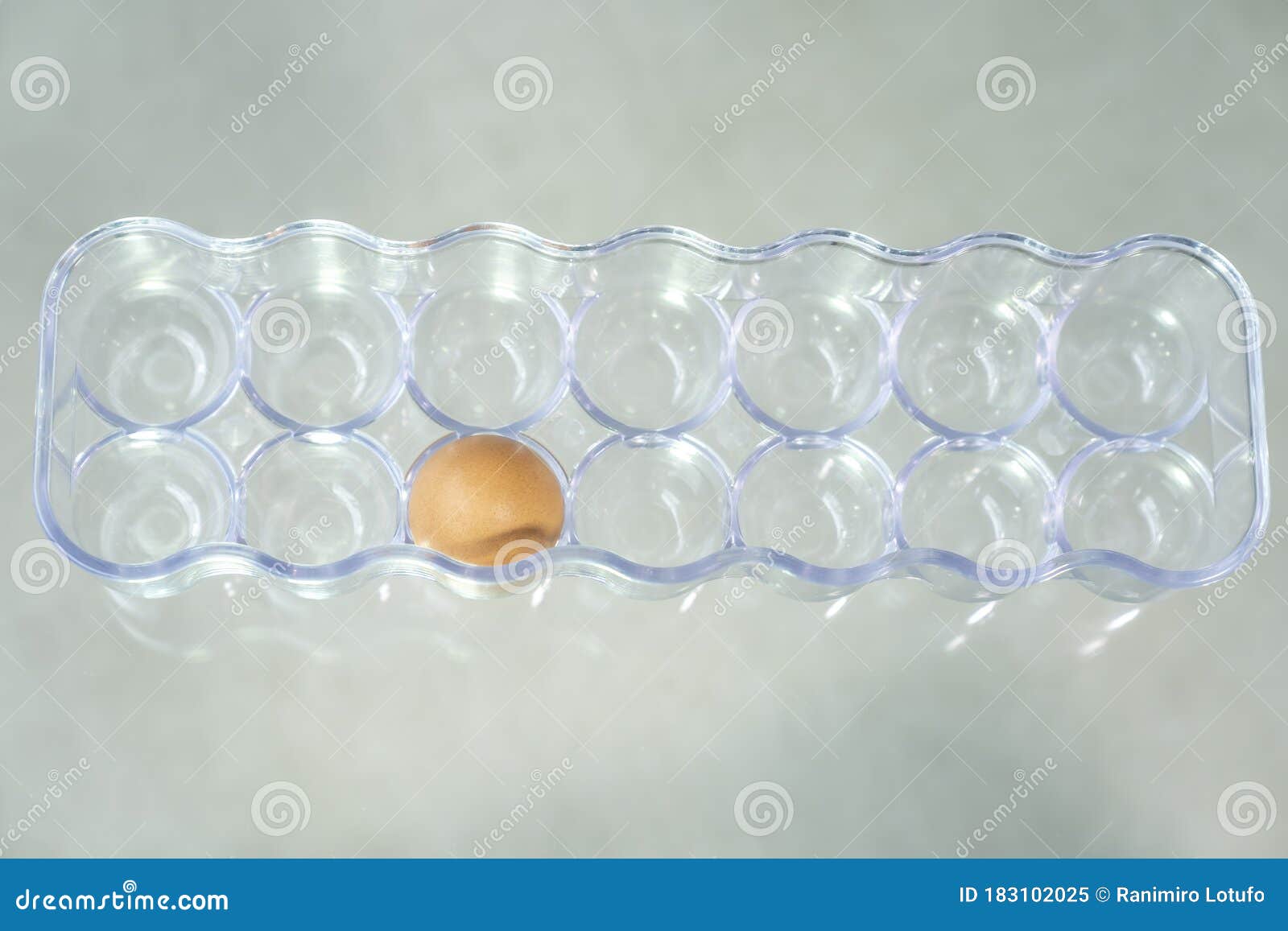 One Egg in the Box. Container for Eggs Isolated Stock Image - Image of ...