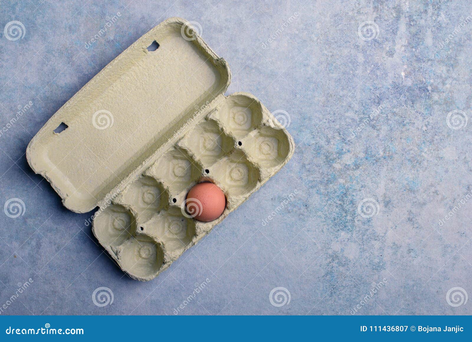 One Egg in the Carton Package Stock Image - Image of organic, shell ...