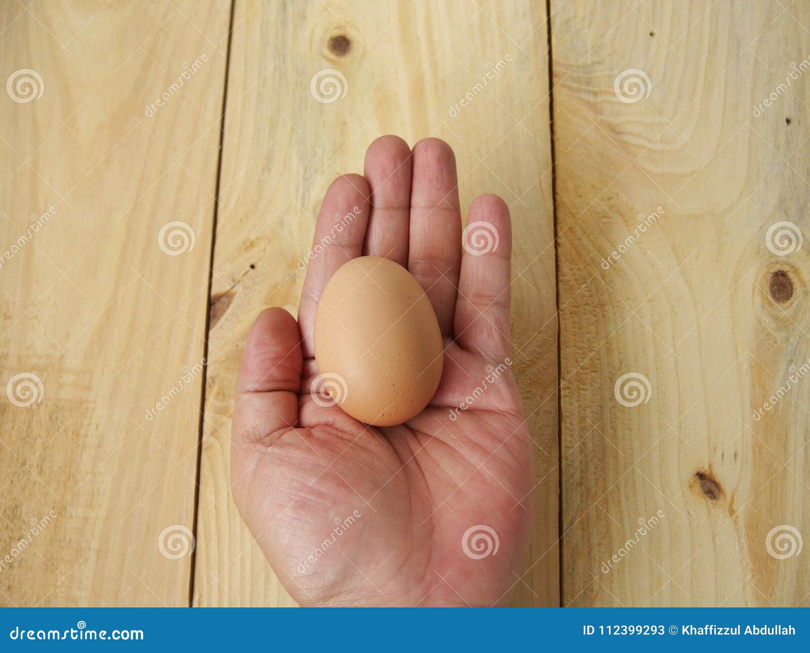 One egg in the hand stock image. Image of holding, hands - 112399293