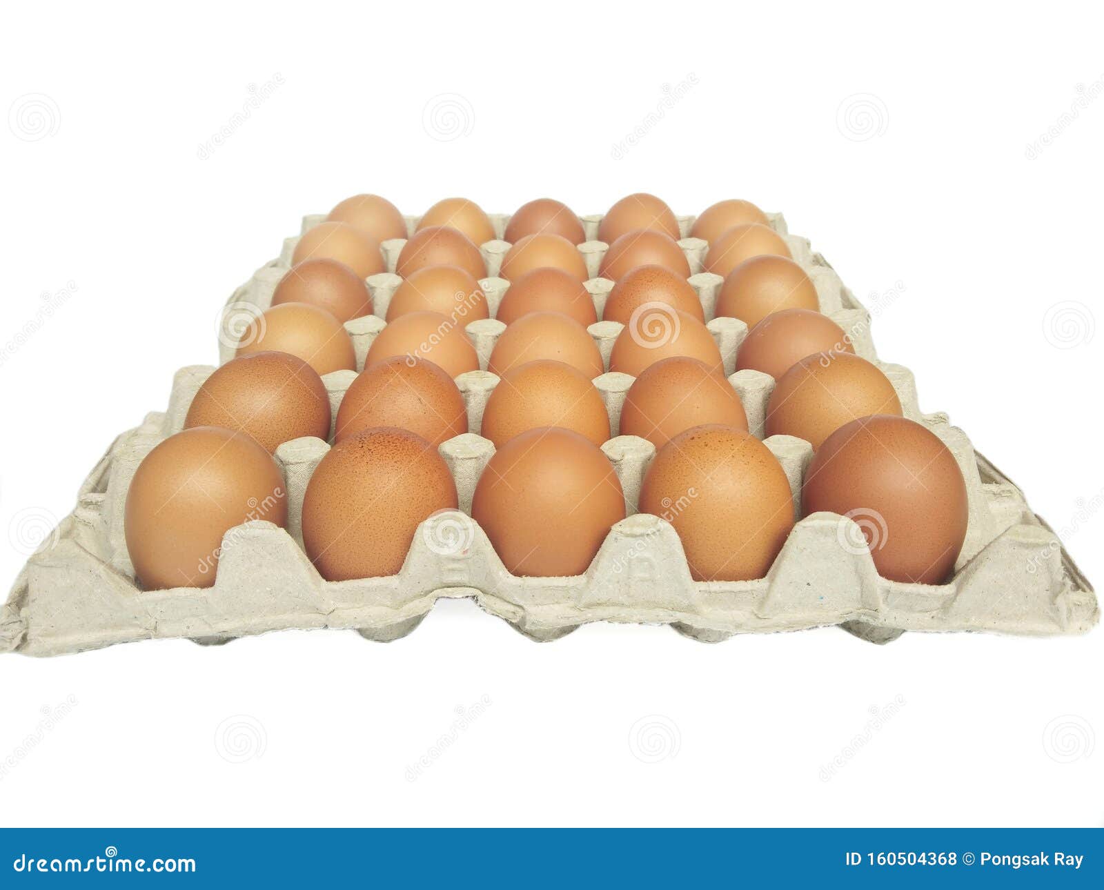 One Egg One Egg on a White Background, Ready Stock Photo - Image of ...