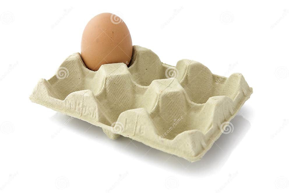 One egg in the package stock image. Image of cardboard - 28058907