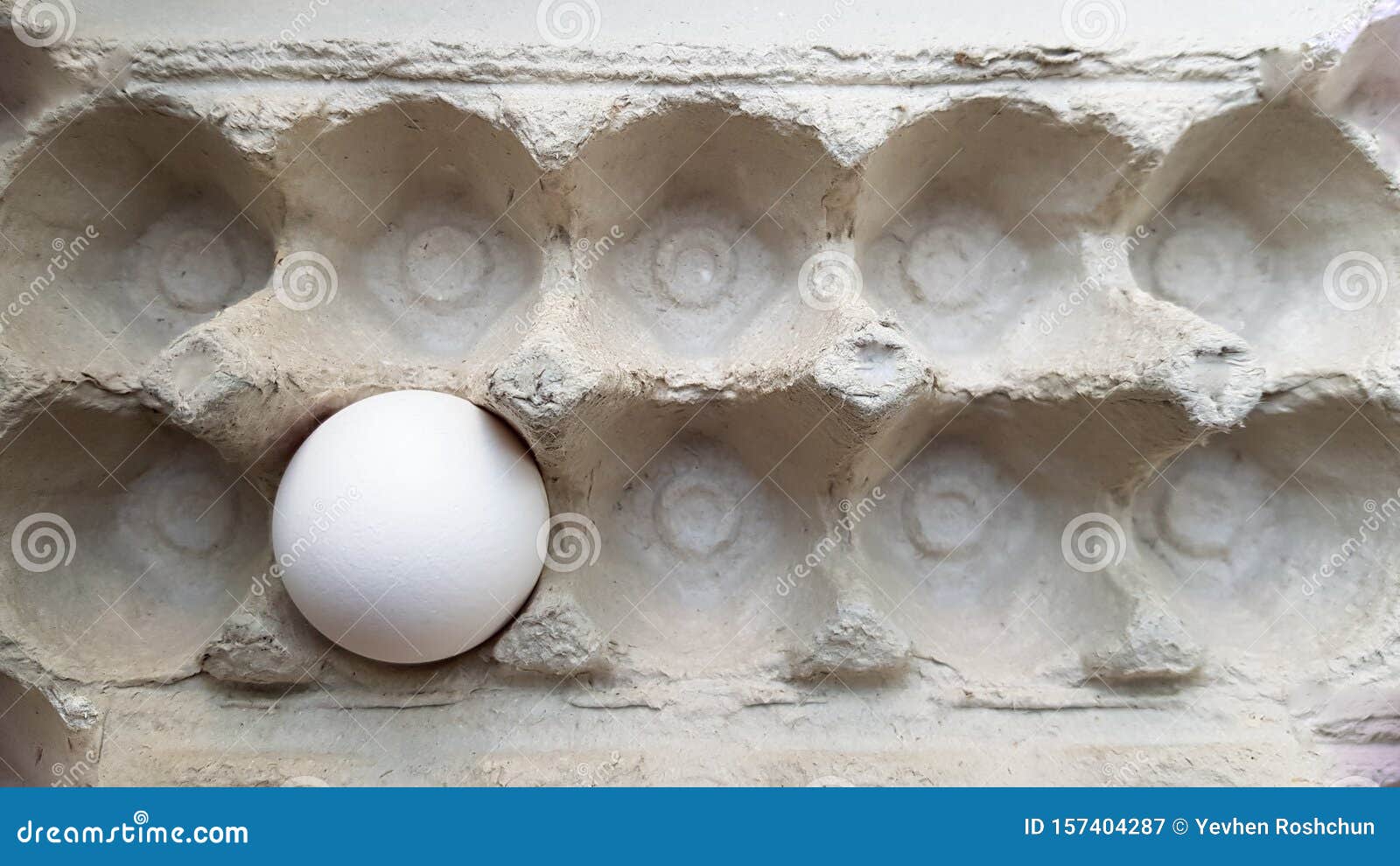 One Egg in a Package Close-up. Lone Chicken Egg in a Tray Stock Image ...