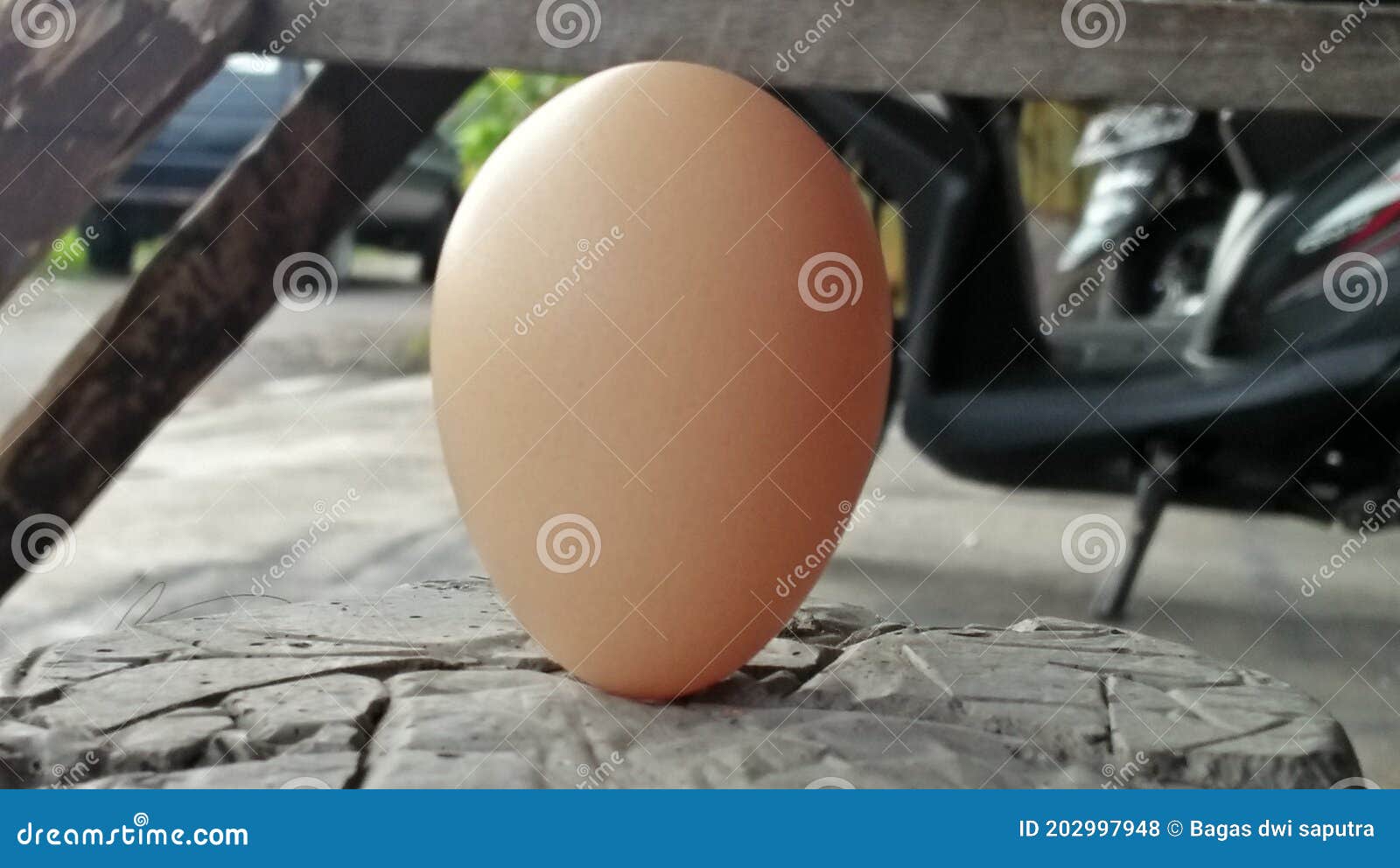 One egg on a rock stock photo. Image of dish, rock, food - 202997948