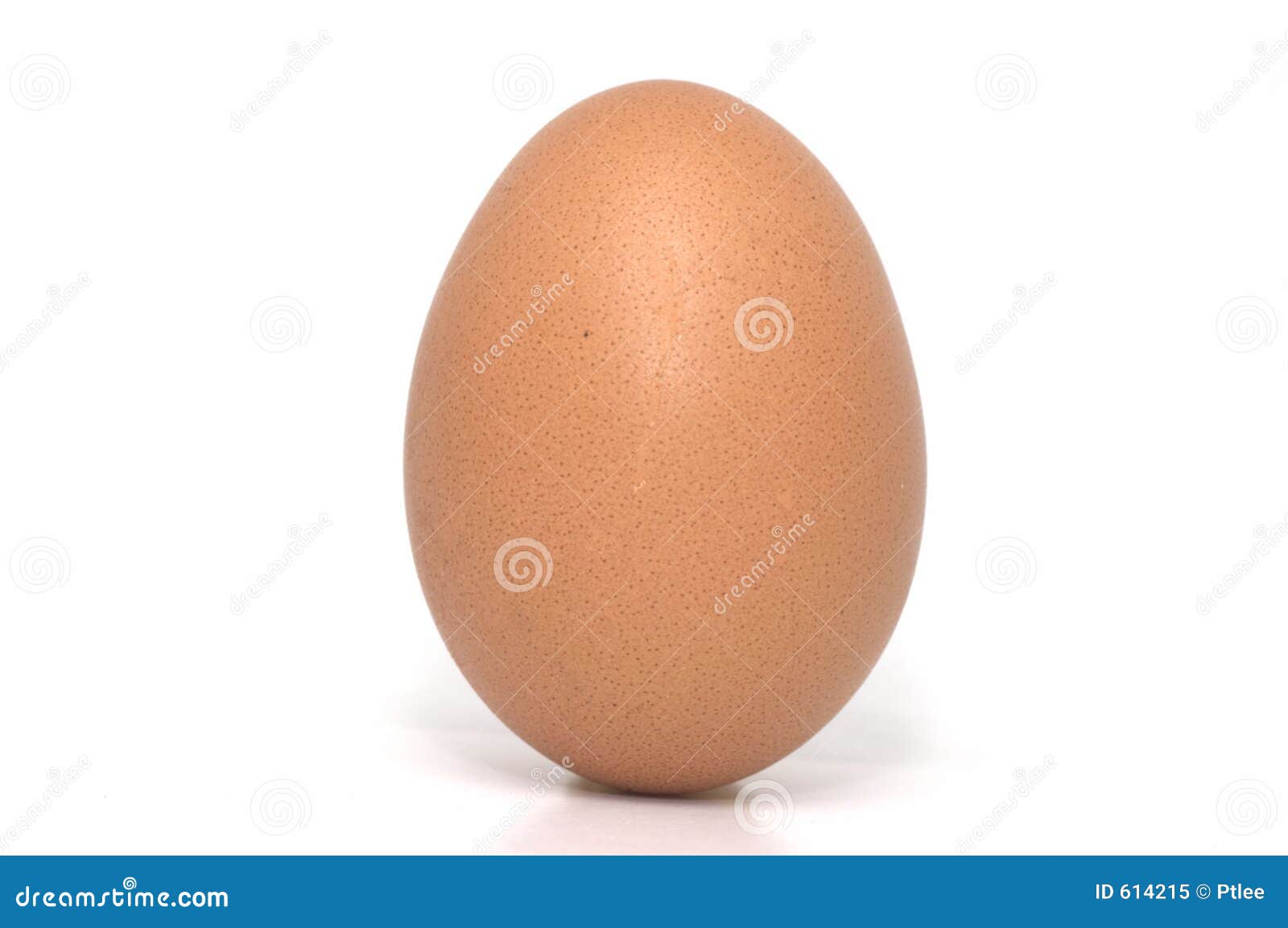 One Egg Standing stock image. Image of bird, upright, food - 614215