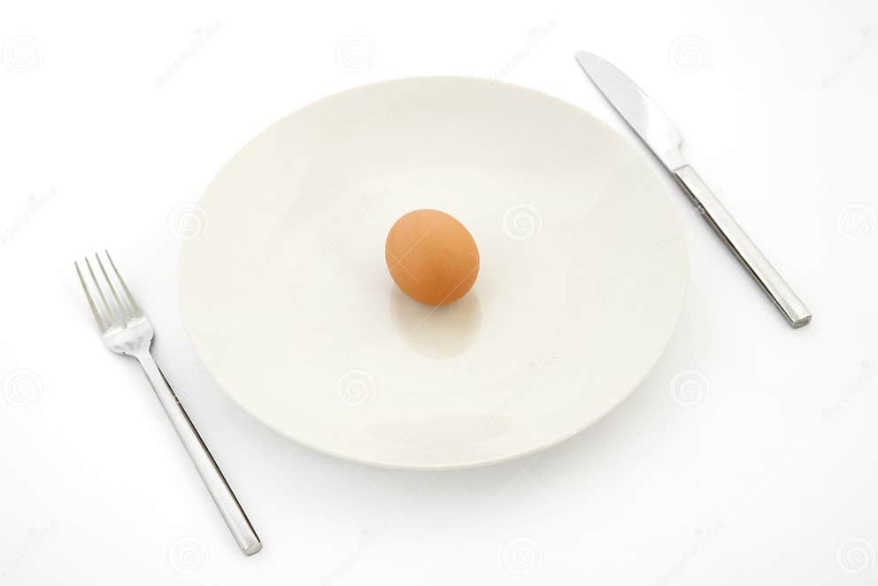 One egg on white plate stock photo. Image of calorie - 17925860