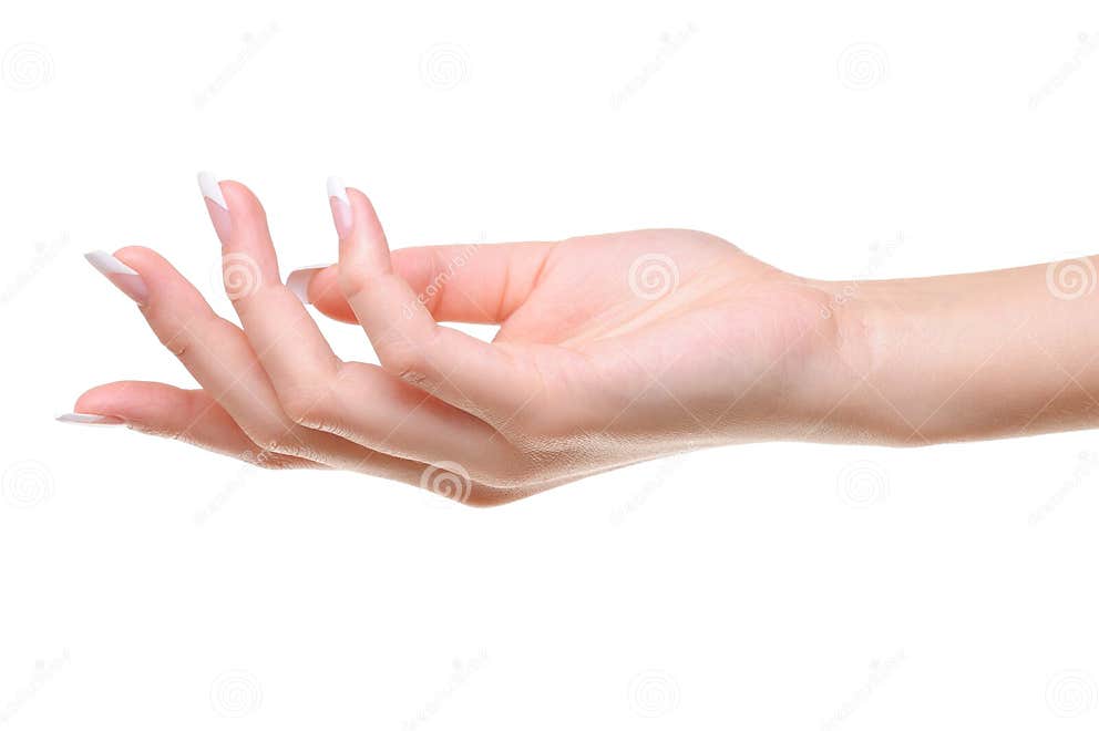 One elegant female hand stock photo. Image of girl, skincare - 13110518