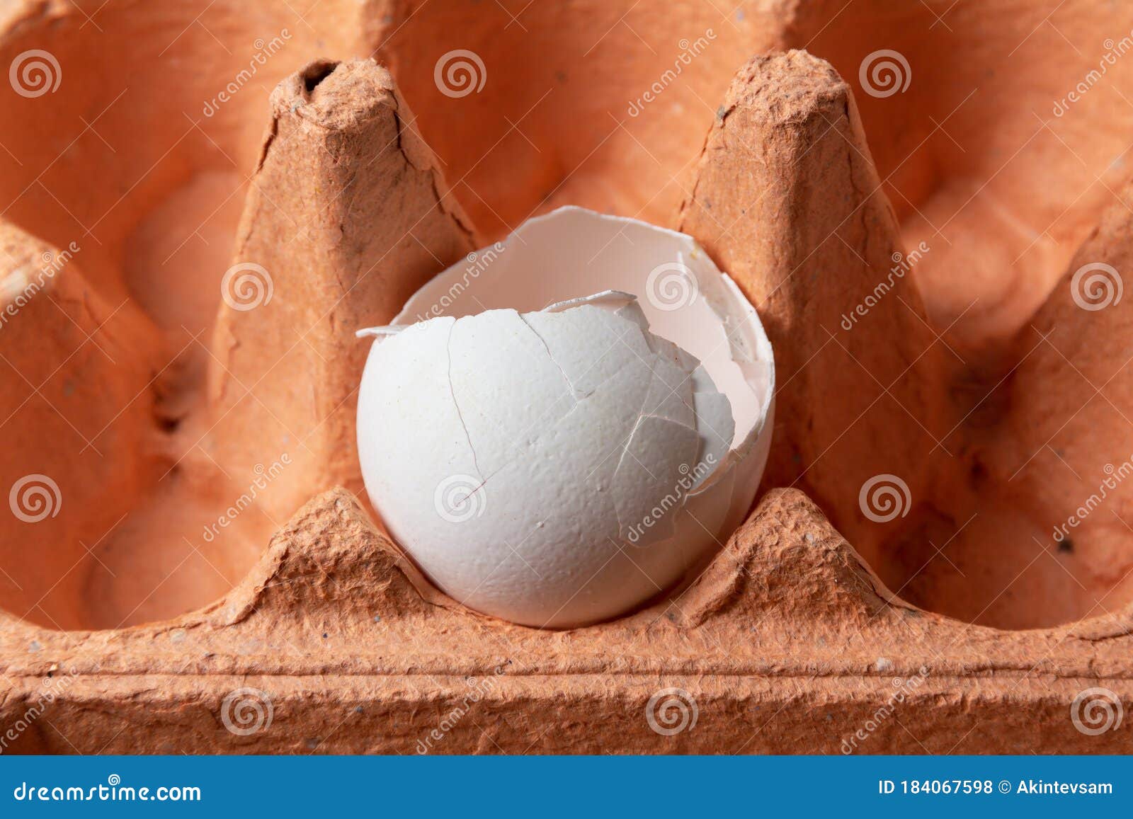 Egg Shell in a Cardboard Tray Stock Photo - Image of cholesterol ...