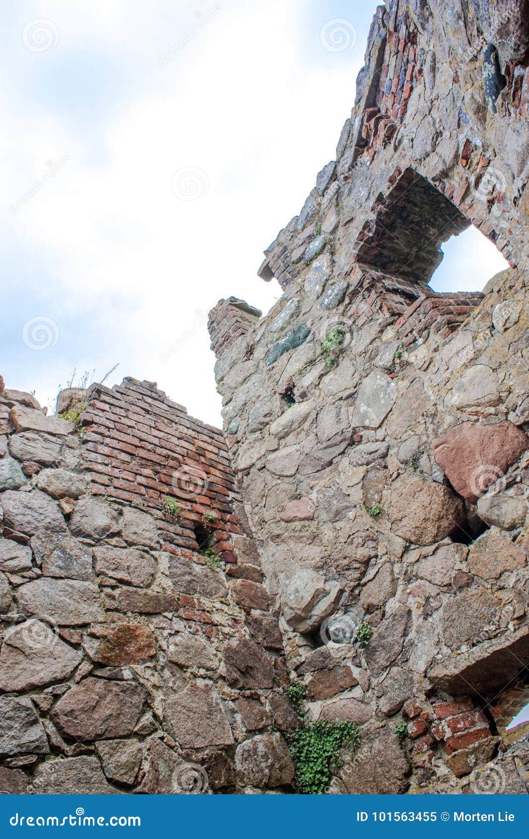 Hammershus stock image. Image of wall, outdoor, skytree - 101563455