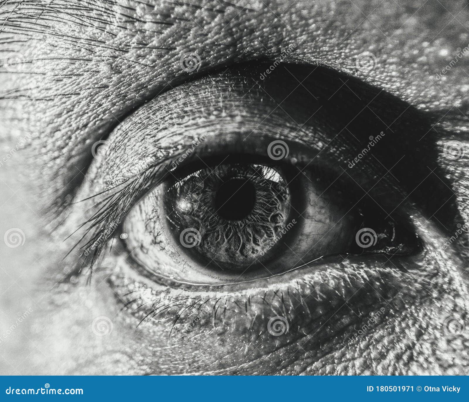 One Eye Staring into the Future Stock Image - Image of portrait, female ...