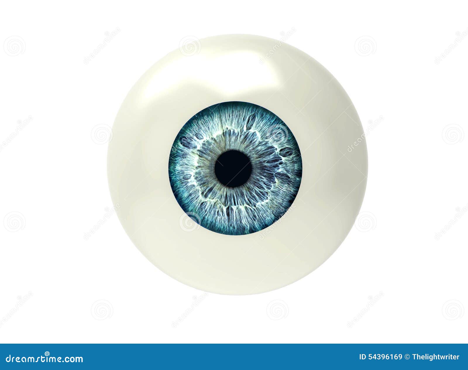 One Eyeball Isolated on White Stock Illustration - Illustration of iris ...