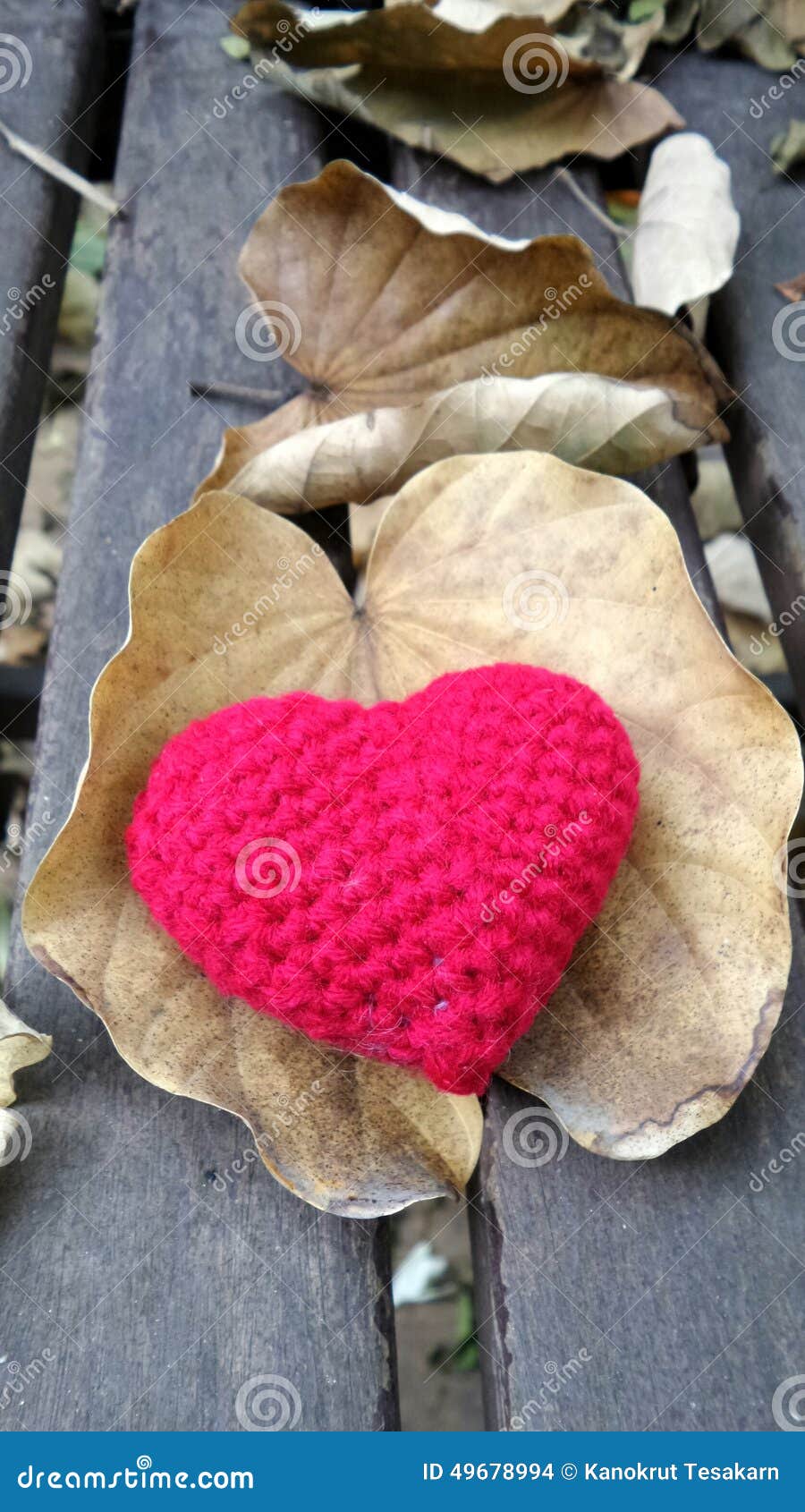 Falling Leave Autumn Wallpaper Concept Park Asphalt Road Perspective Surface September Royalty ...