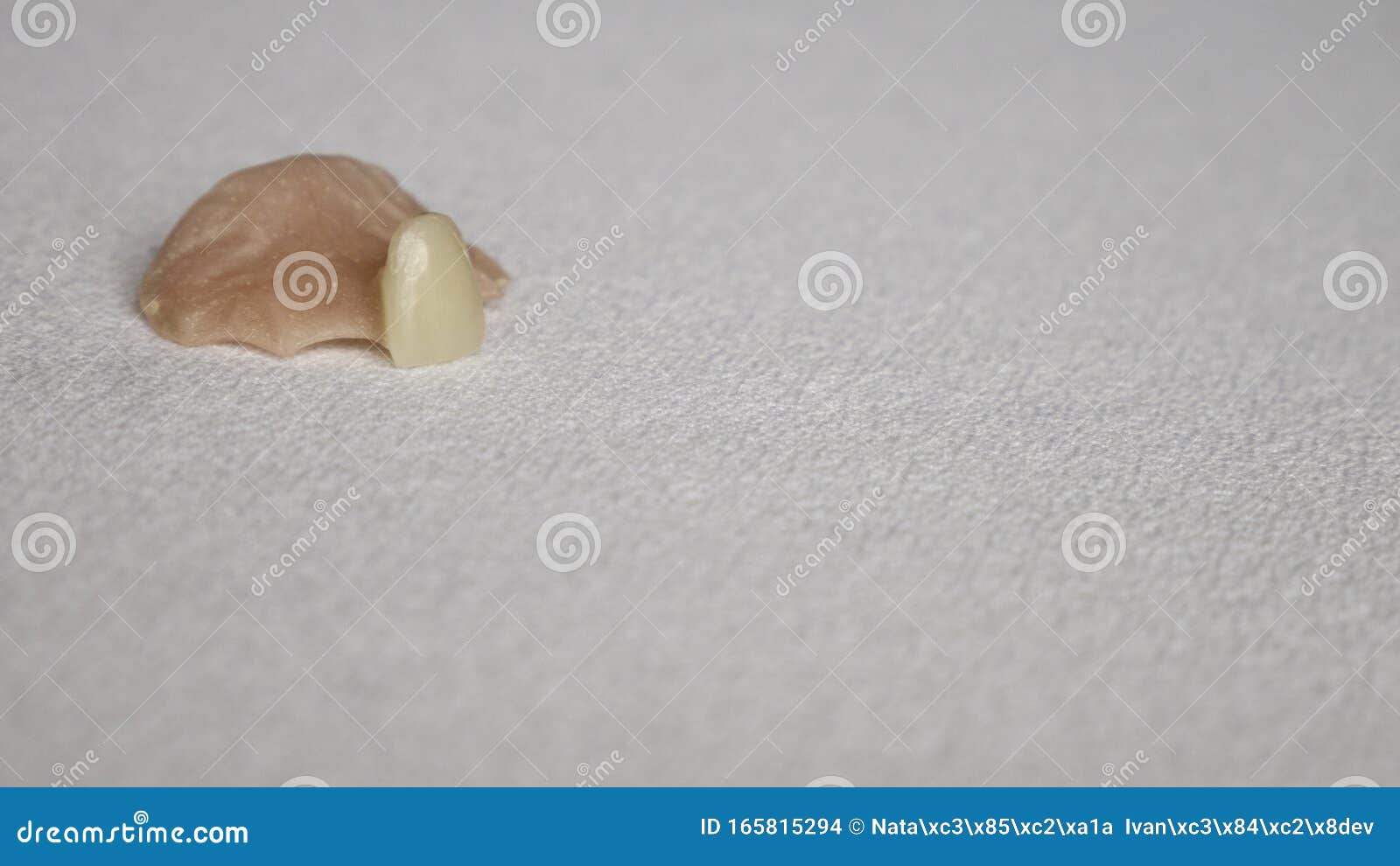 One False Plastic Tooth. Dental Prosthetics On A Background. Dentures ...