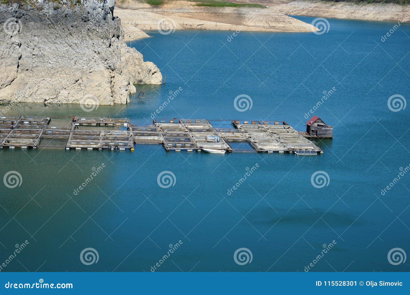 Farm shells on the lake stock image. Image of farm, color - 115528301