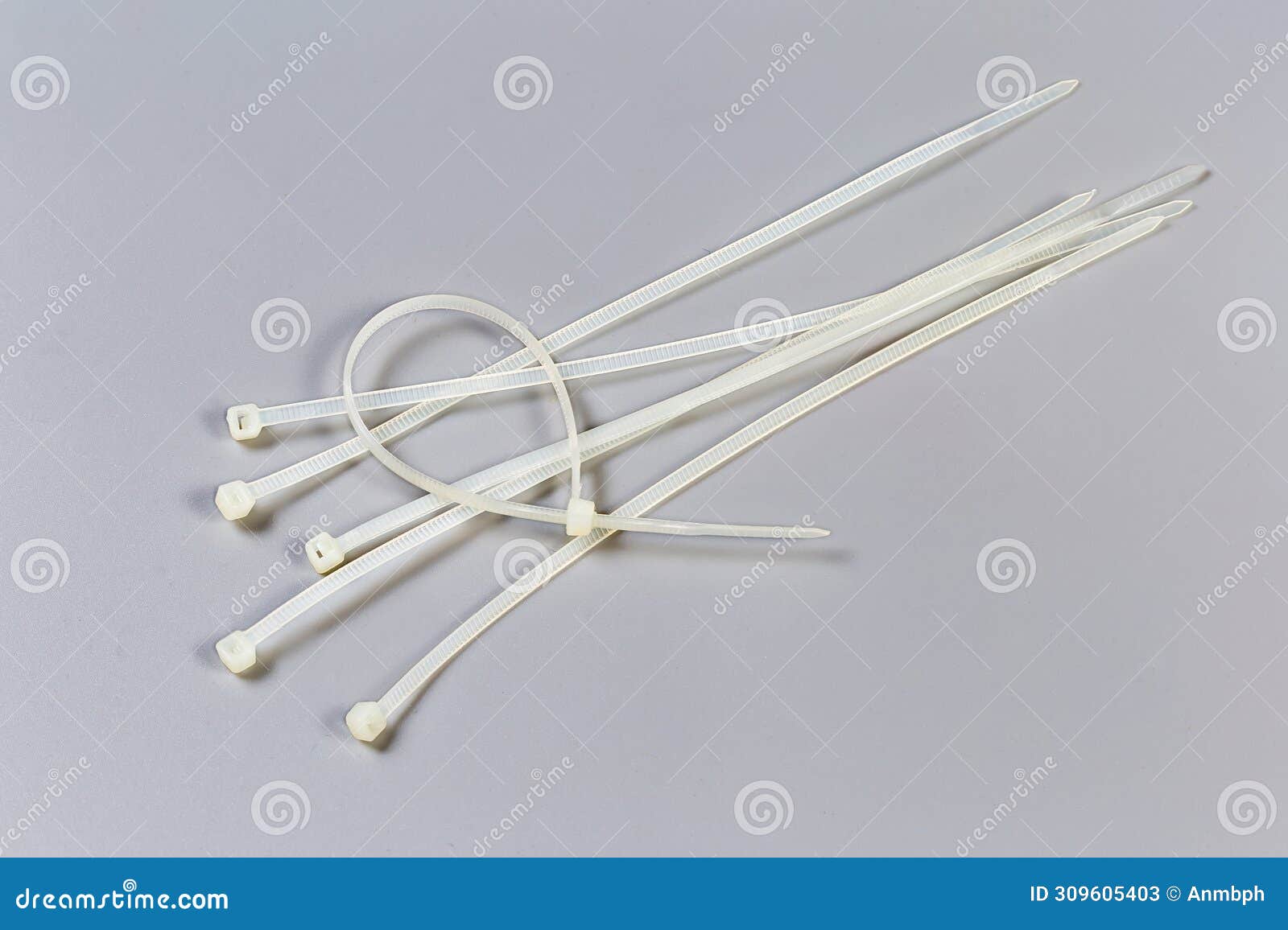 One Fastened Translucent Cable Tie on Several Unfastened Cable Ties ...