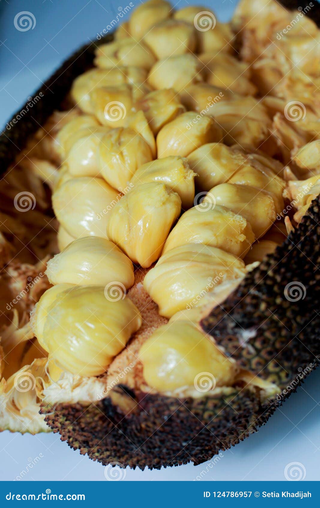 Cempedak fruit stock image. Image of malaysian, fruit - 124786957