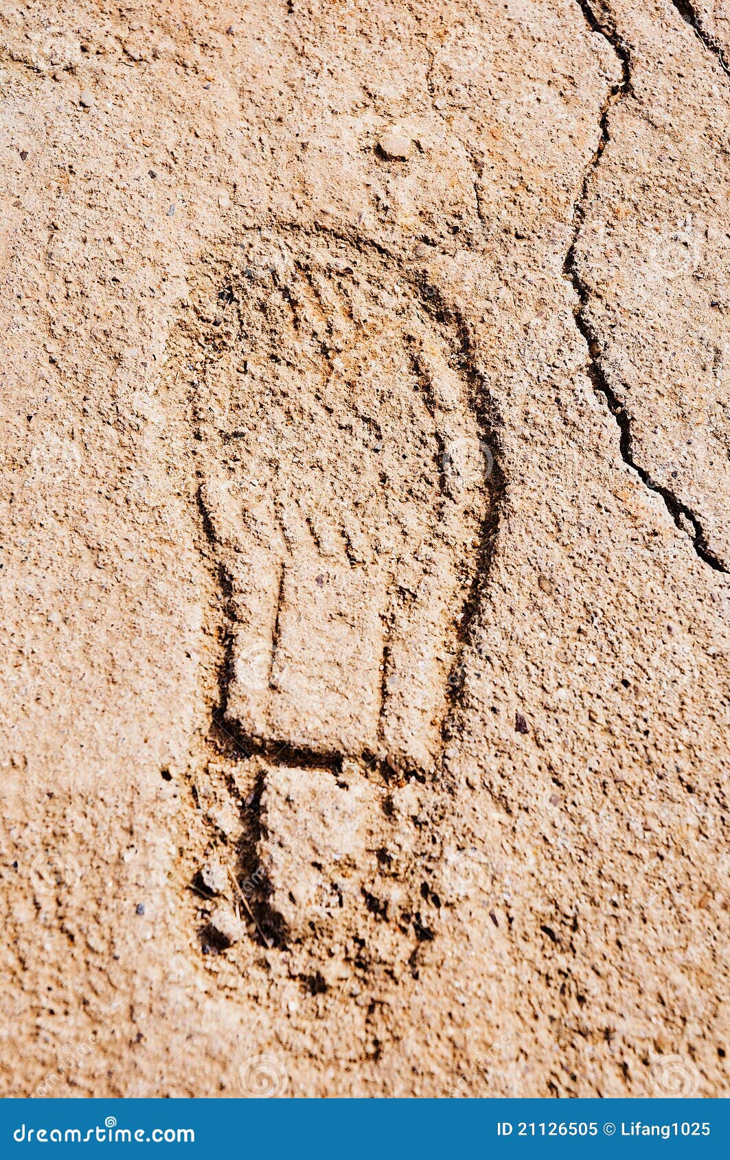 One Footprints stock image. Image of prints, lead, leading - 21126505