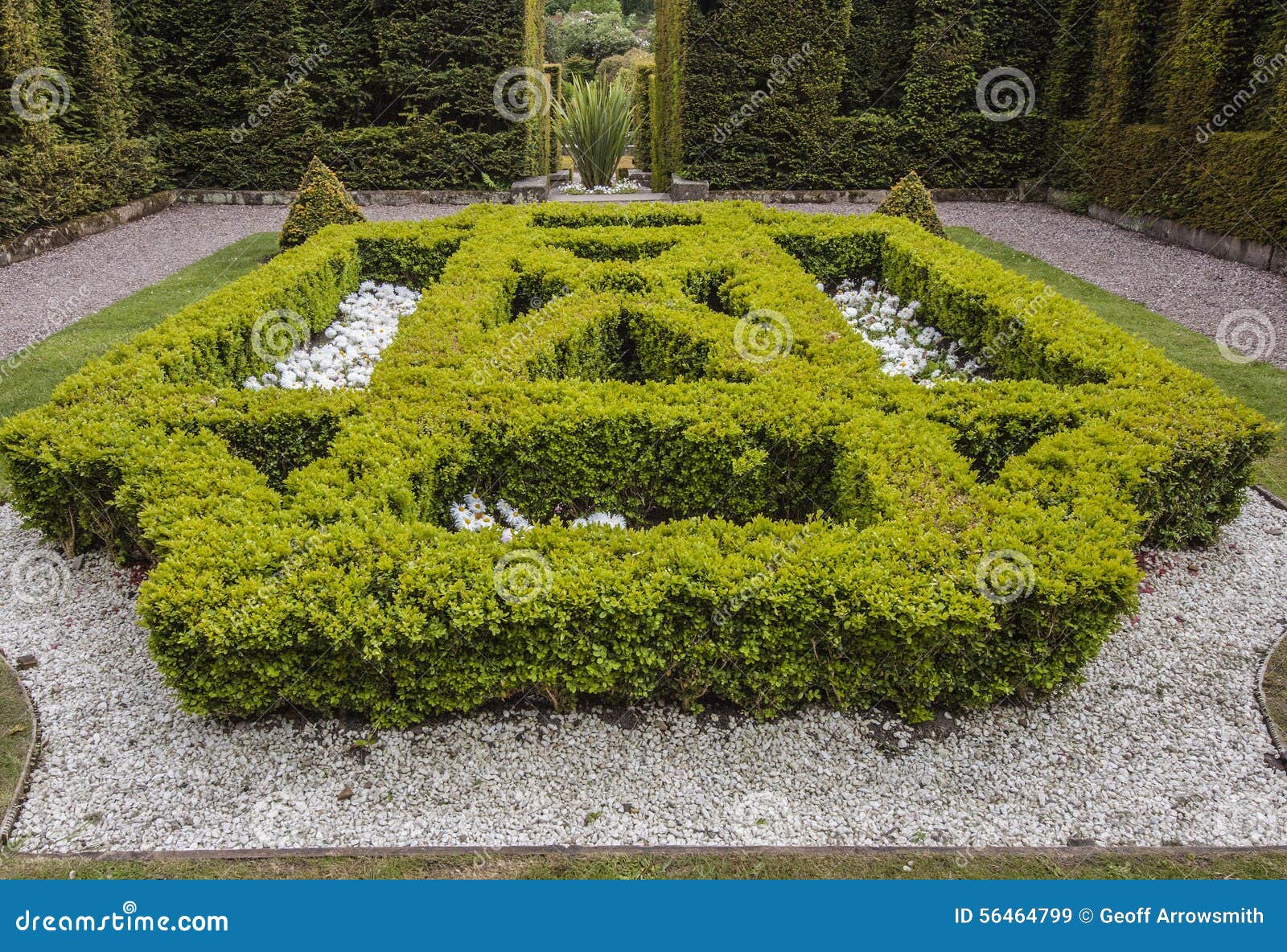 Natural Green Trent Tree Stock Photos - Free & Royalty-Free Stock ...