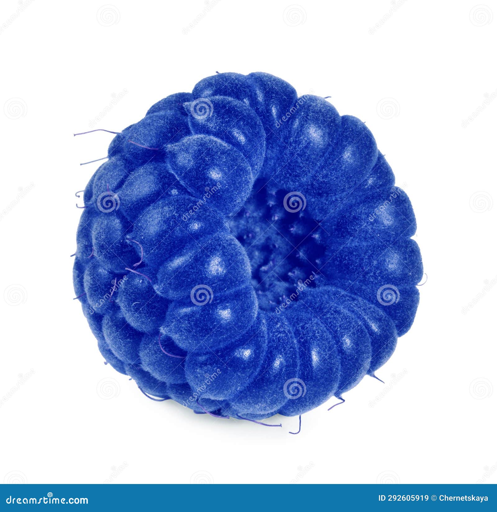 One Fresh Blue Raspberry Isolated on White Stock Image - Image of ...