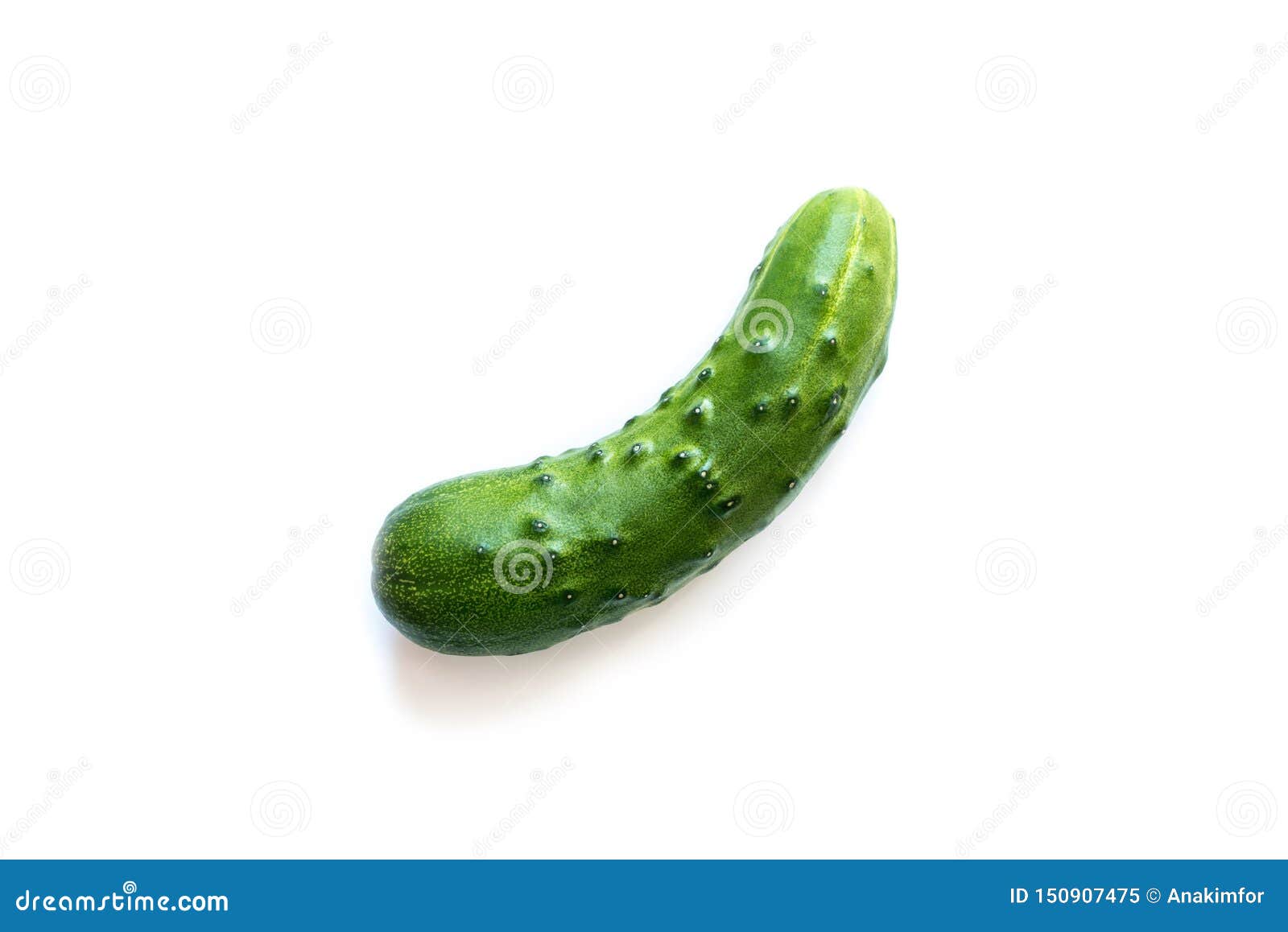 One Cucumber Isolated on White Background Stock Image - Image of ...